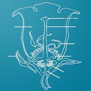 Login - alive Academy