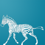 Login - alive Academy